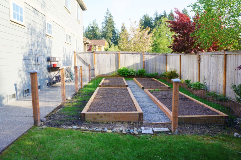 Foodscaping Ideas to Put Your Yard to Work for You With Edible ...