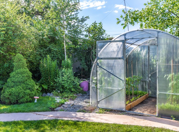 Foodscaping Ideas to Put Your Yard to Work for You With Edible ...