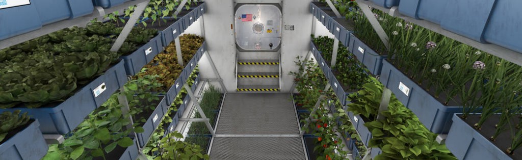 NASA's Space Veggies Helps Growth on Earth - GardensAll