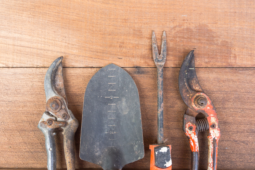 How to Clean Rusty Tools | GardensAll