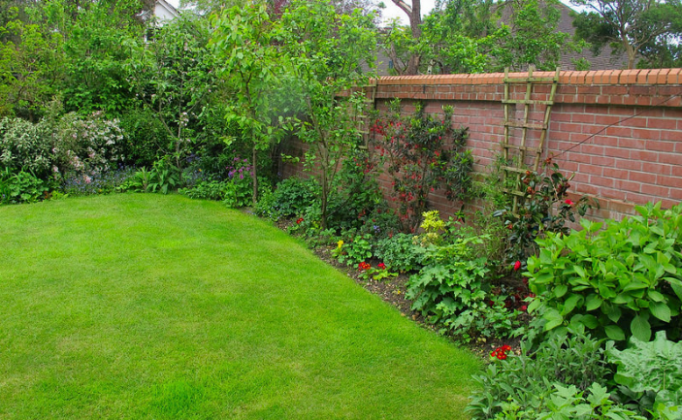 Edible Hedges for Privacy and Food - Eat That Hedge! - GardensAll