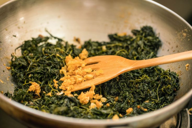 Marsh Mallow Plant - a Return to Edible and Medicinal Roots