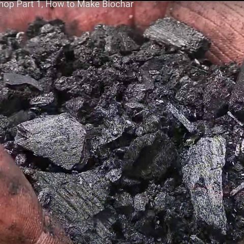 How to Make Biochar - an Ancient Soil Amendment - GardensAll