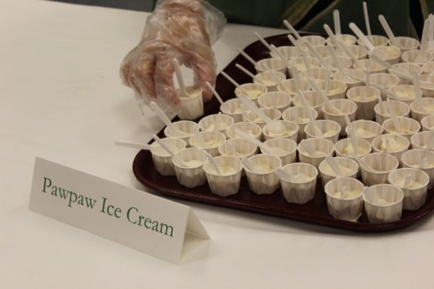 The Pawpaw Fruit Tree - a True American - GardensAll - EDIBLES