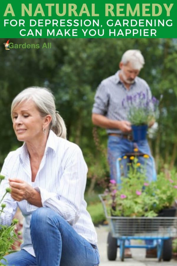 Garden Therapy Increases Well Being, Reduces Stress, Anxiety ...