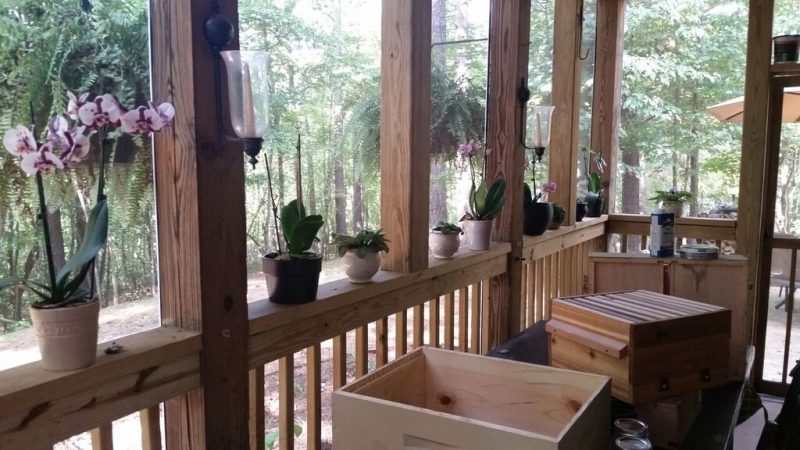 Homestead Living and Journey to Self Sufficiency | GardensAll