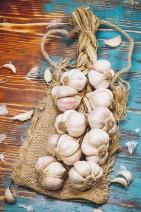 Types of Garlic and How to Grow and Harvest Garlic - GardensAll ...
