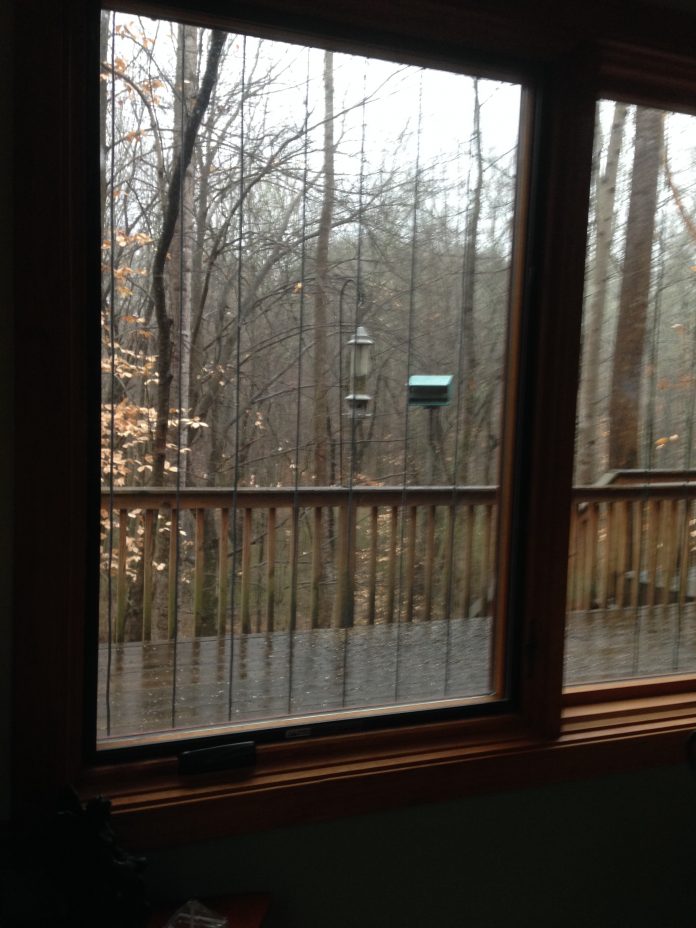 Bird Deflectors to Deter Bird Strikes to Windows and Crops - GardensAll