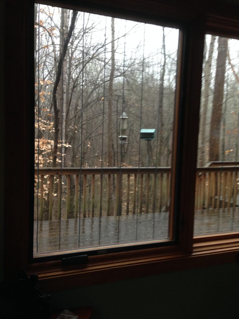Bird Deflectors to Deter Bird Strikes to Windows and Crops - GardensAll