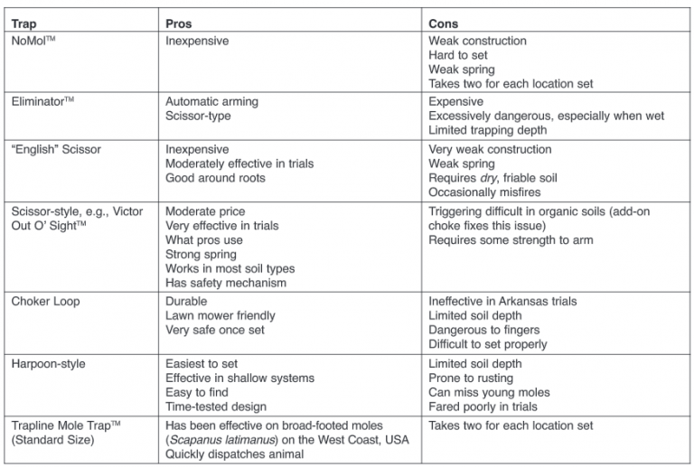 How to Get rid of Garden MOLES from Your Yard and Garden - GardensAll ...