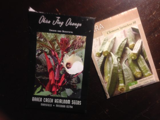 How to Grow Okra and Why You'll Want To