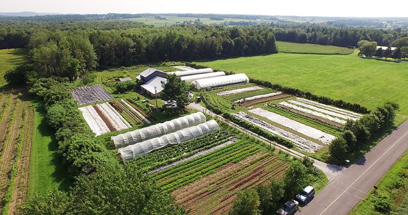 Profitable Micro Farm - The Market Gardener - GardensAll - MARKET GARDENER