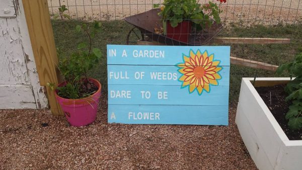 Garden Memes and Sayings for Fun and Inspiration GardensAll GARDENING