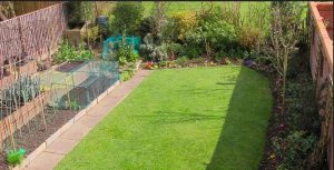 Edible Hedges for Privacy and Food - Eat That Hedge! - GardensAll