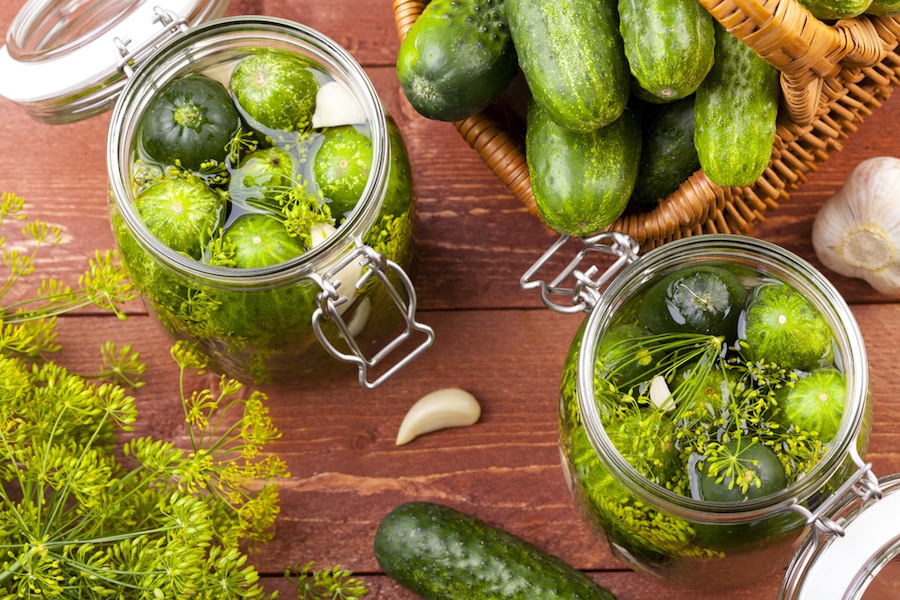 Easy Refrigerator Pickles Recipes -Homemade, Delicious and Healthy!