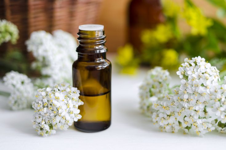 Best Herbs for Cold, Flu and Immunity - GardensAll