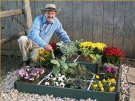 Square Foot Gardening - Benefits and How To - GardensAll