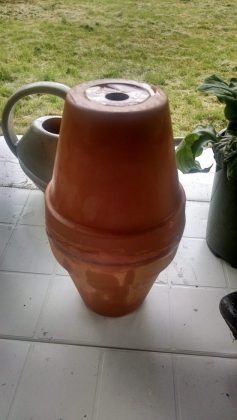 Olla Pots - Clay Water Jug Garden Irrigation System - GardensAll