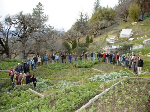 Biointensive Gardening Tips for More with Less - GardensAll