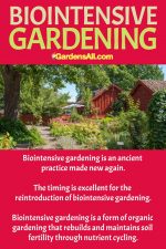 Biointensive Gardening Tips for More with Less - GardensAll