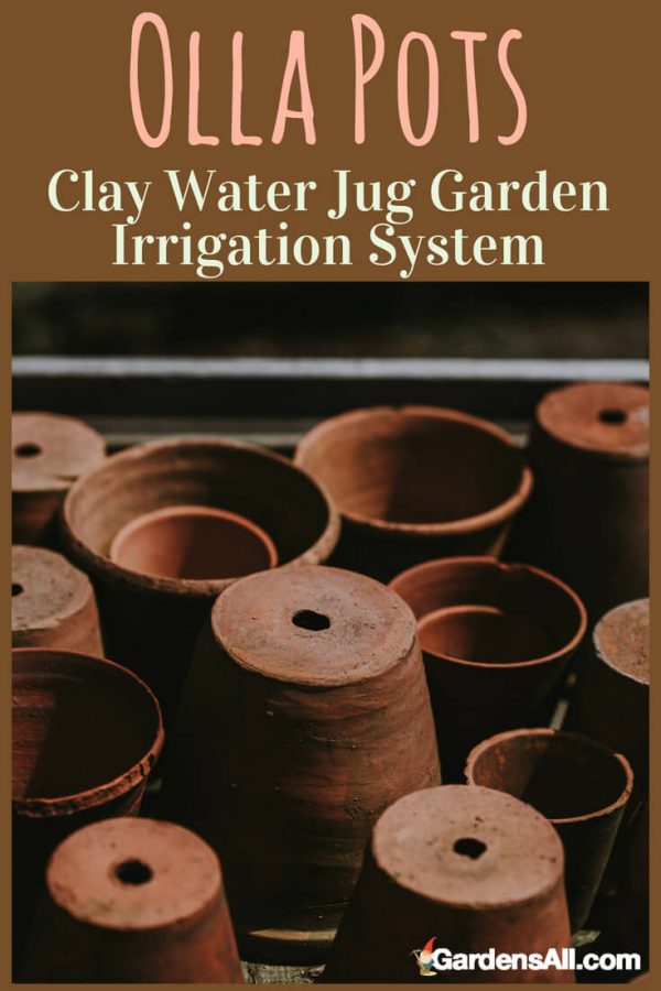Olla Pots - Clay Water Jug Garden Irrigation System - GardensAll