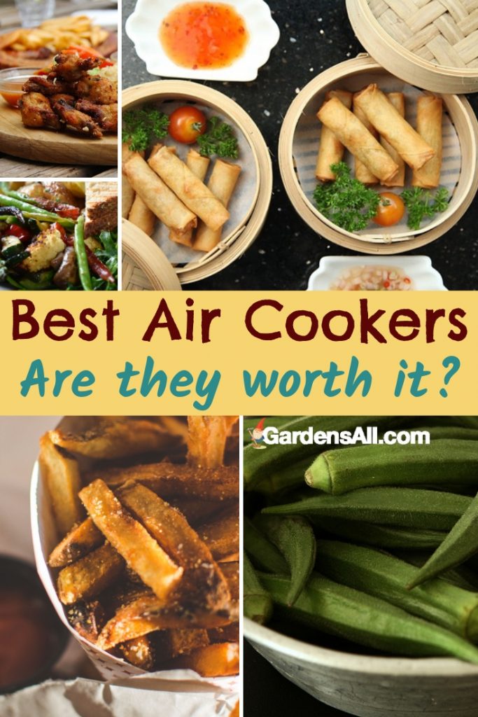 Best Air Cookers for Oil-free Cooking - Are they worth it? - GardensAll ...
