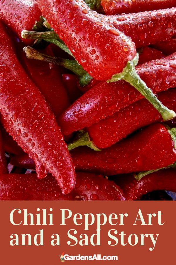 Chili Pepper Art and a Sad Story Made Glad Through Gardening - GardensAll