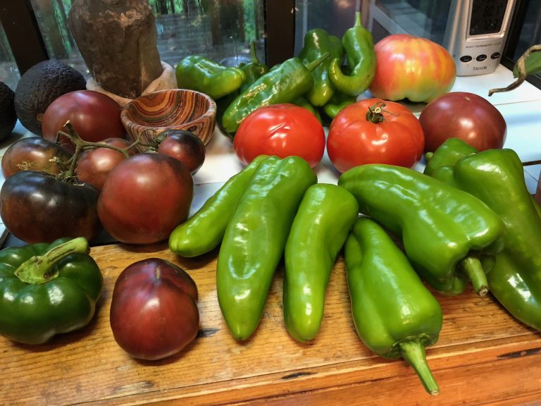 Love Growing Marconi Peppers - Red and Green! - GardensAll - GARDENING