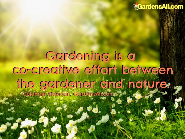 To Plant a Garden is to Believe in Tomorrow - GardensAll