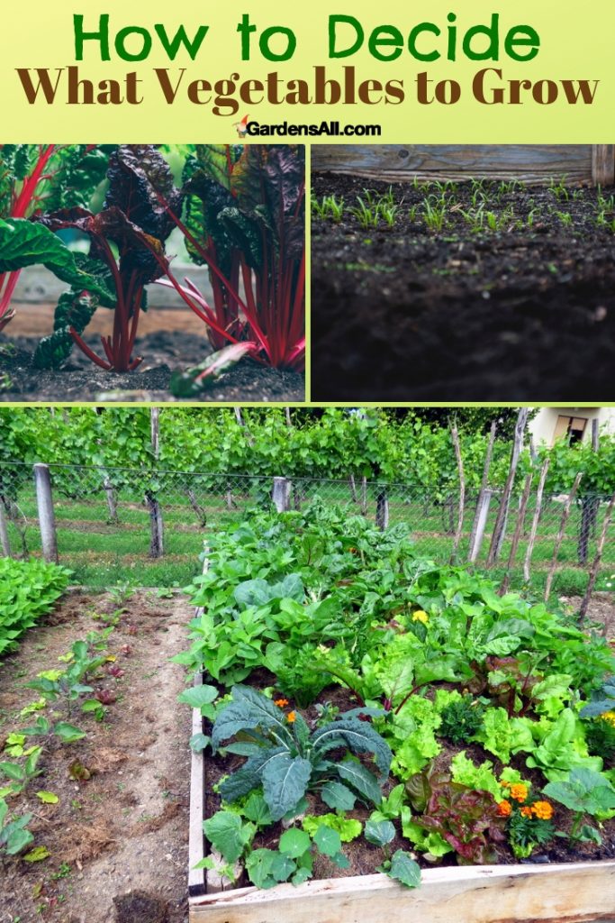 What Vegetables to Grow, and How to Decide - GardensAll