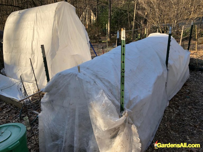 Frost Covers for Plant Protection to Extend Your Growing Season ...