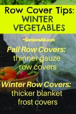 Winter Gardening & Winter Plants