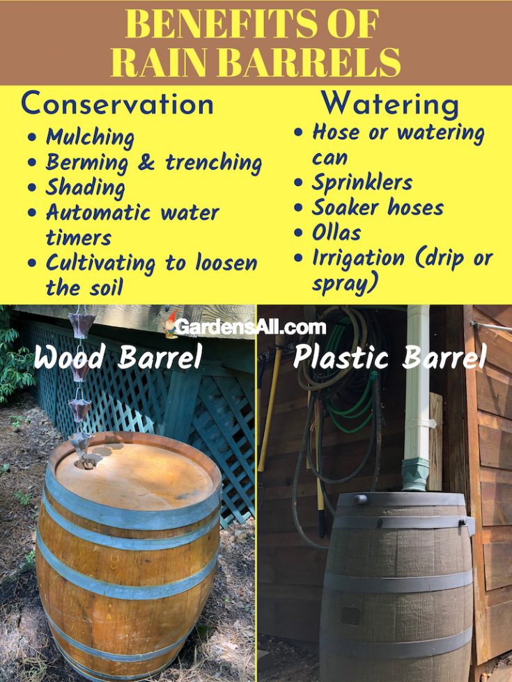 Wooden Rain Barrels vs Plastic Rain Barrels Pros and Cons - GardensAll