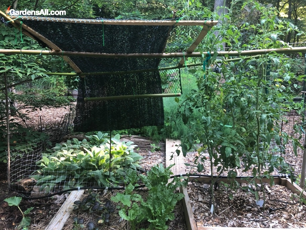 Shade Cloth for Plants to Protect Against Summer Heat - GardensAll