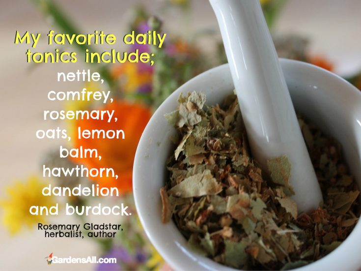 Comfrey Uses and Benefits for Your Garden and Your Body - GardensAll