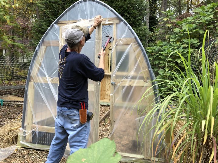 Cattle Panel Greenhouse for Short and Longterm Growing Year Round ...