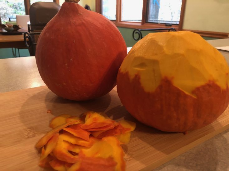Growing Red Kuri Winter Squash - GardensAll