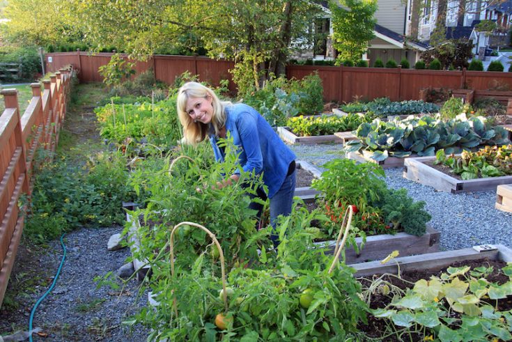 Turn Your Backyard Garden into an Urban Farm - GardensAll