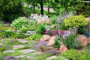 Edible Ground Cover Plants for Food, Function and Beauty - GardensAll