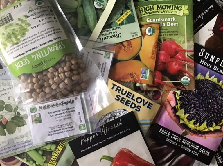 80+ Garden Seeds Companies | GardensAll
