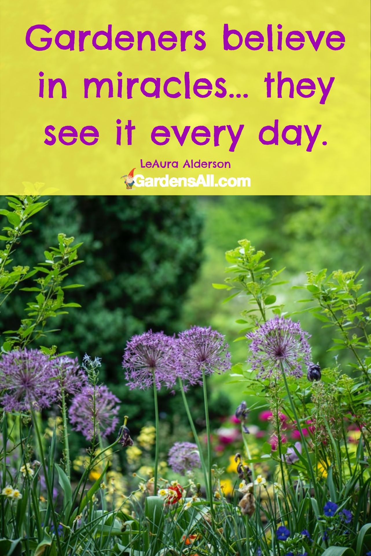 Garden Therapy Increases Well Being, Reduces Stress, Anxiety ...