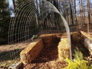 Vertical Garden Ideas for Space Saving Vegetable Gardening