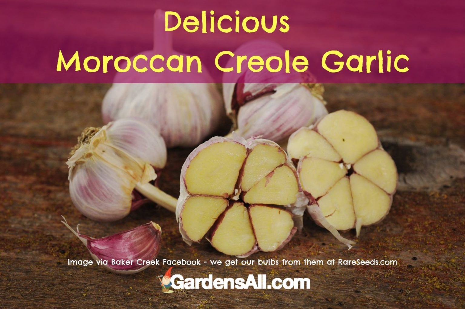 Types of Garlic and How to Grow and Harvest Garlic - GardensAll ...