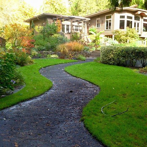 Foodscaping Ideas to Put Your Yard to Work for You With Edible ...