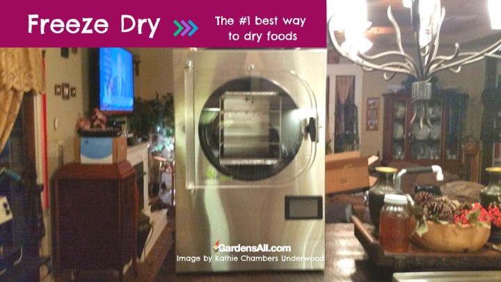 Home Freeze Dryer - the Best Way to Preserve Food for Long Term Storage ...