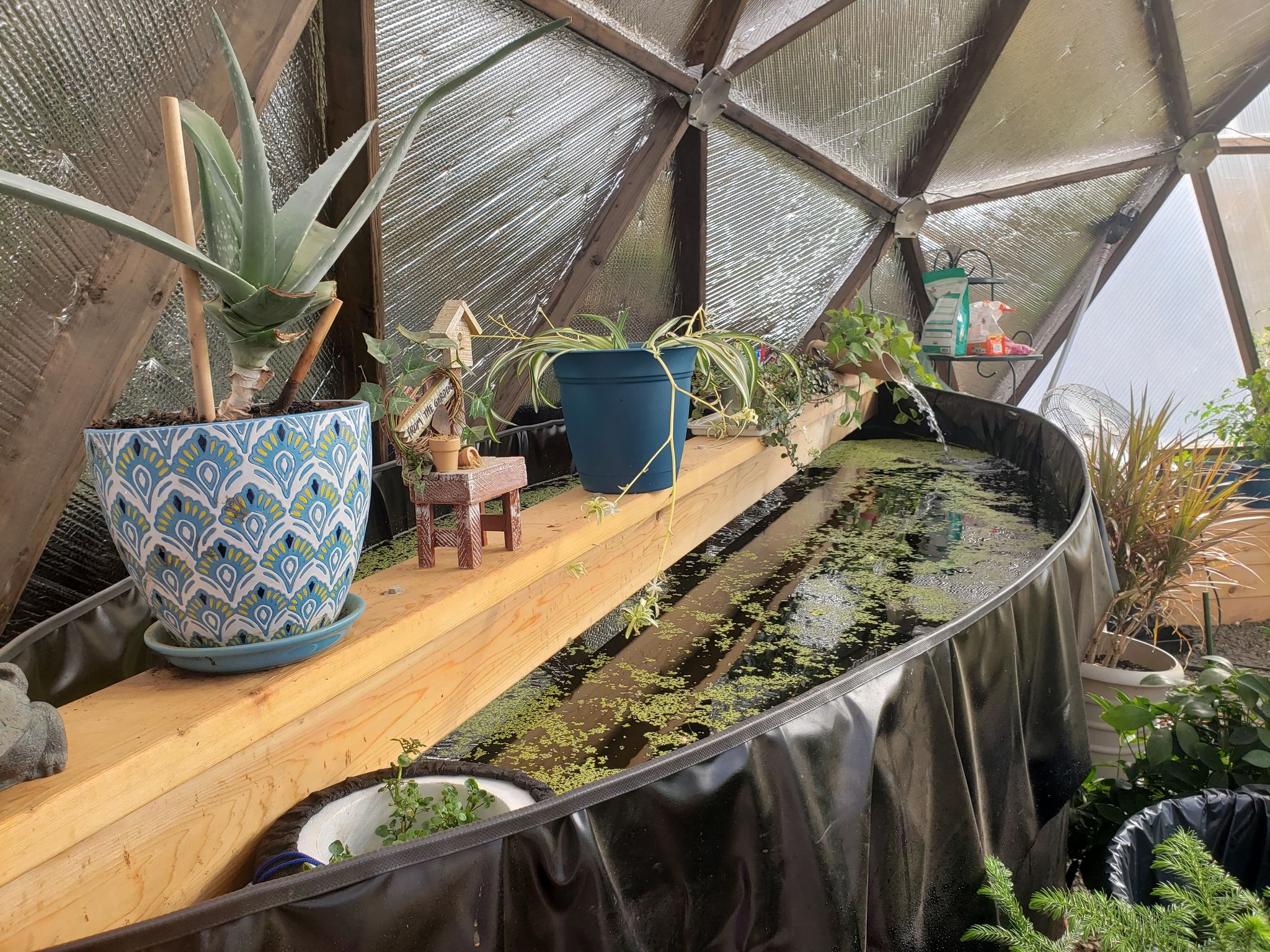 Geodesic Domes Greenhouse Kits | GardensAll.com