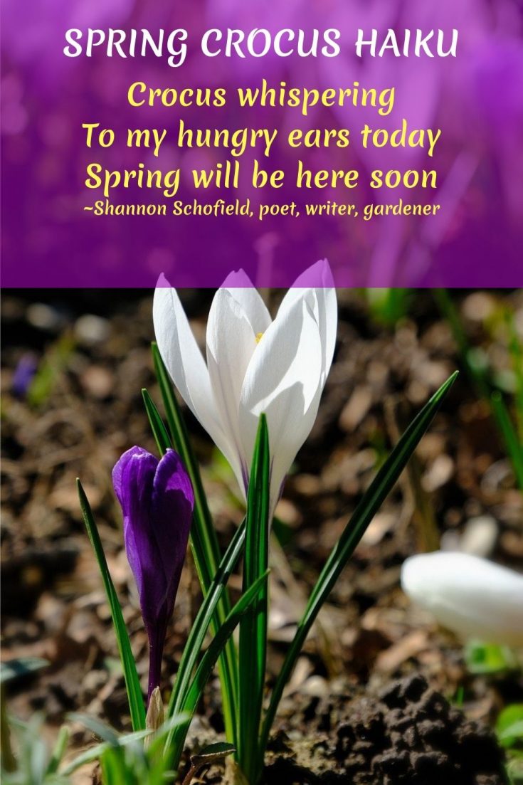 Garden Poetry & Poems for the Heart of the Gardener - GardensAll