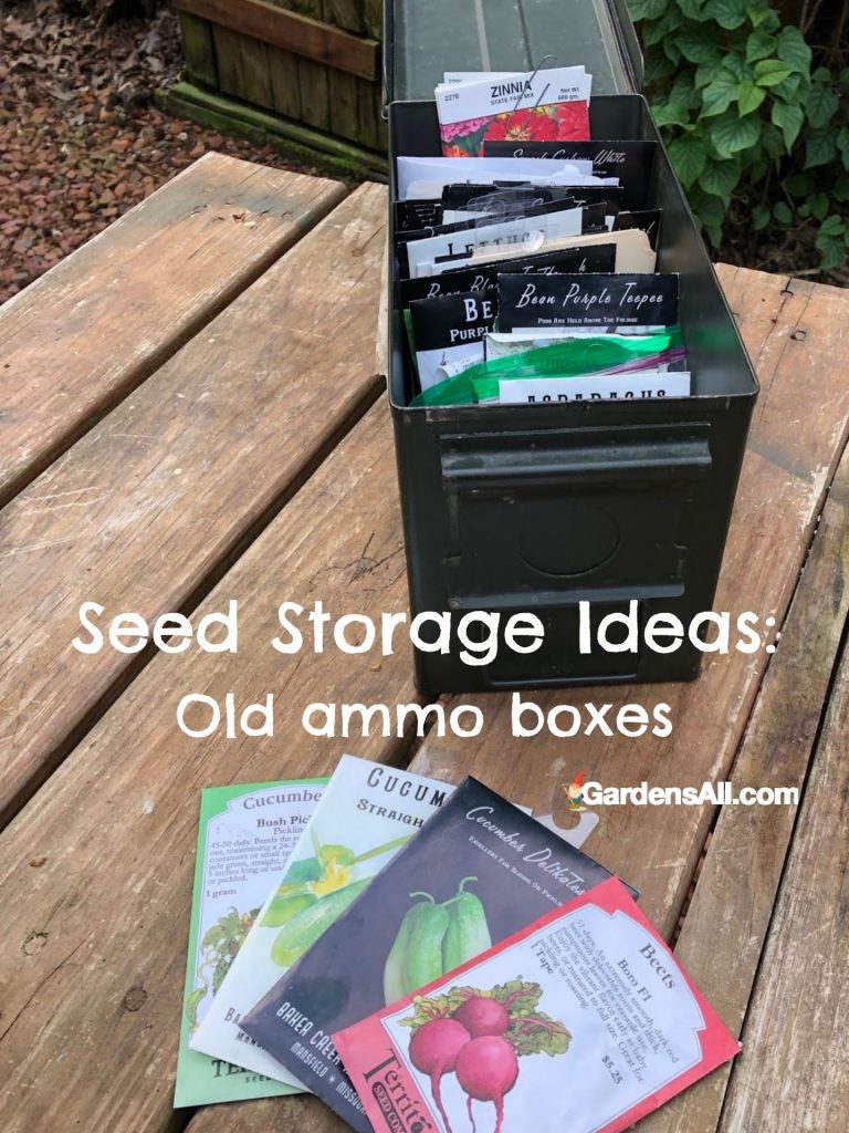 Seed Storage Ideas For Seed Saving With The Best Results - GardensAll