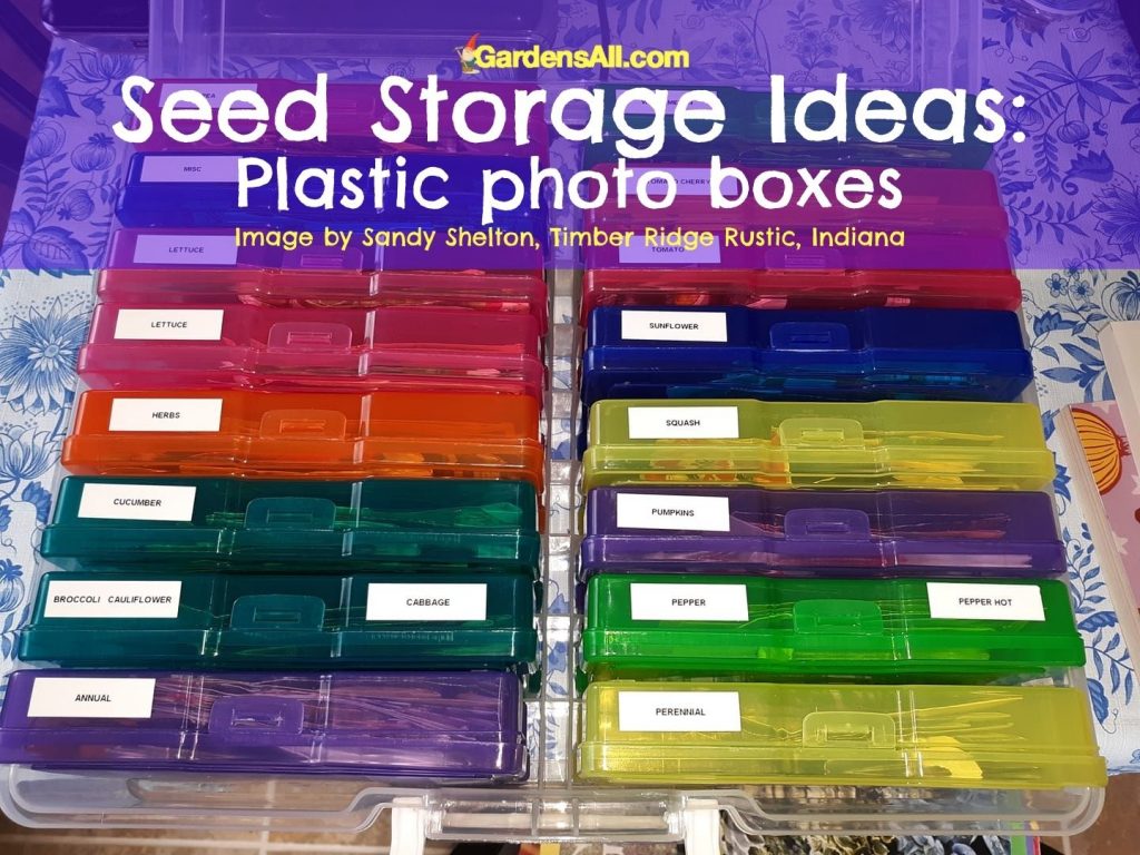 Seed Storage Ideas For Seed Saving With The Best Results - GardensAll