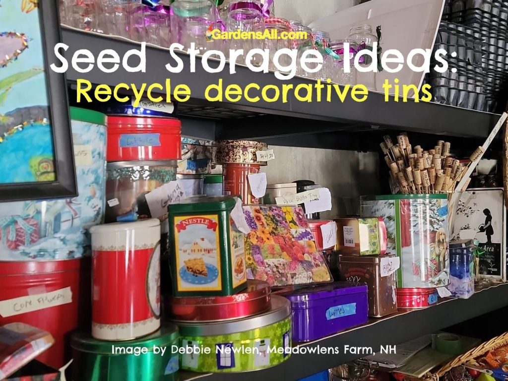 Seed Storage Ideas For Seed Saving With The Best Results - GardensAll